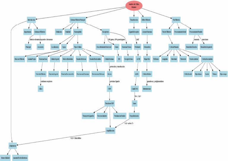Mapa Conceptual Tarea 20 | PDF