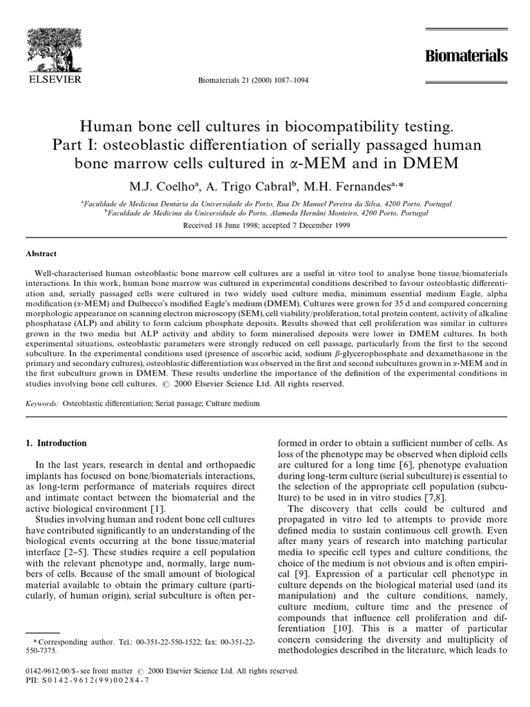 Human Osteoblastic Cell Culture Study | PDF | Osteoblast | Bone