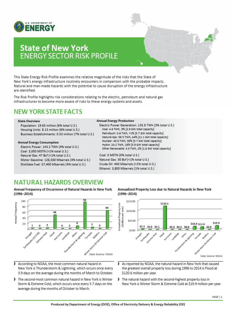 NY - Energy Sector Risk Profile - 0 | PDF | Energy Development | Economies