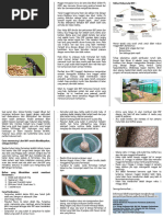 Klasifikasi dan Kebutuhan Lalat BSF | PDF