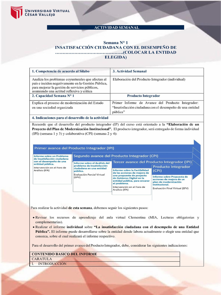 Indicaciones para El Primer Avance Del PI (IPI) | PDF