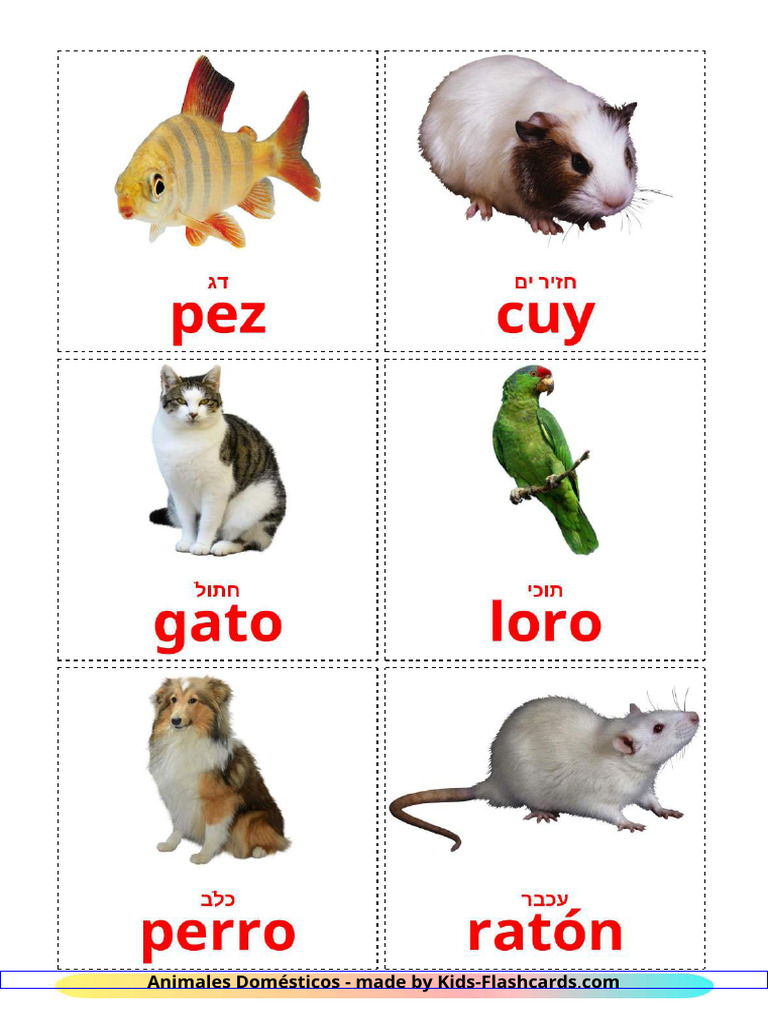 Tarjetas de Animales Domésticos Autor Kids Flashcards | PDF