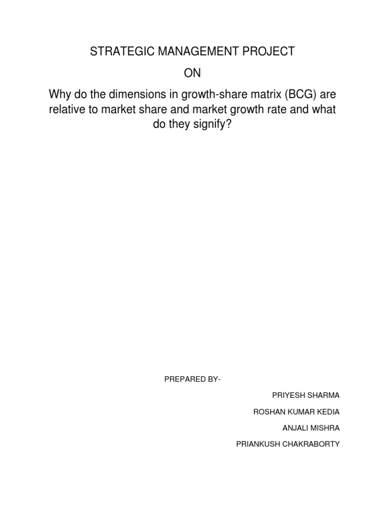 Strategic Management Project | PDF | Business | Business Economics