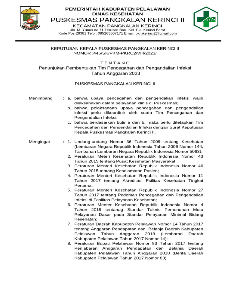 SK Pembentukan Tim Ppi | PDF