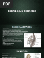 Tórax Inestable | PDF | Tórax | Vértebra