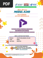 PAUD 2025 2026 Prota Prosem RPPM Modul | PDF