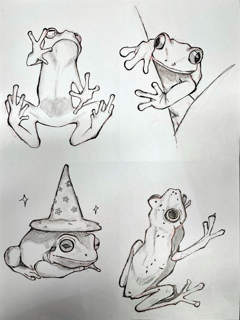 Frog | PDF