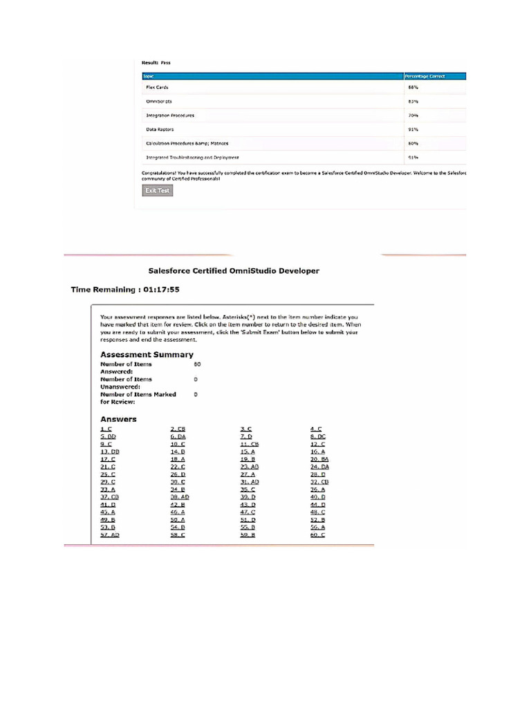 Omni Dev Set 1.1 | PDF