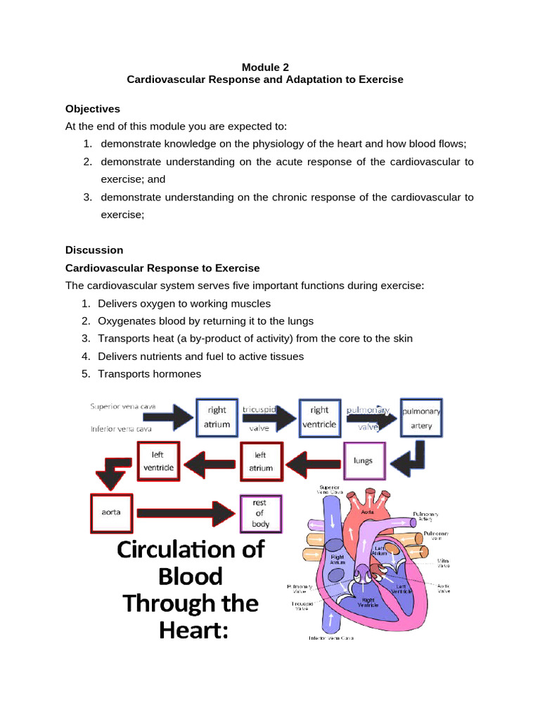 Module 2 Cardiovascular Response and Adaptation To Exercise | PDF | Heart | Circulatory System