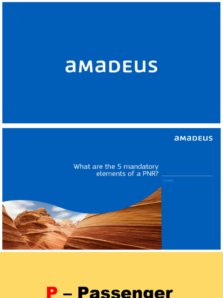 Chapter 5 - GDS Amadeus Passenger Name Record | PDF