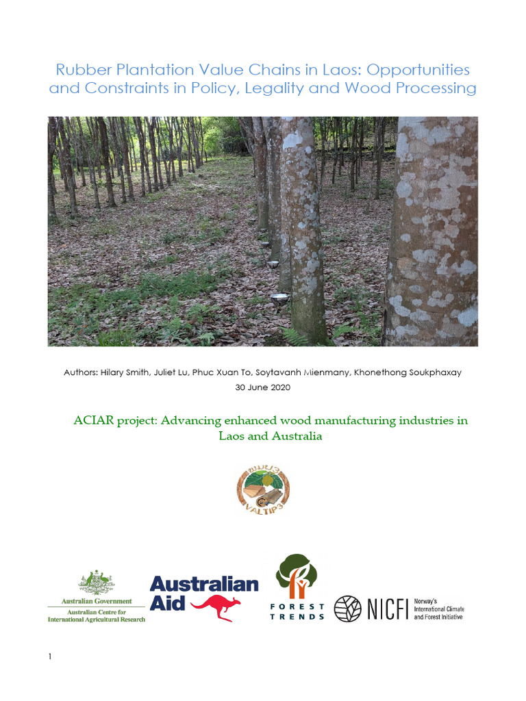 Rubber Plantation Value Chains in Laos | PDF | Natural Rubber | Plantation