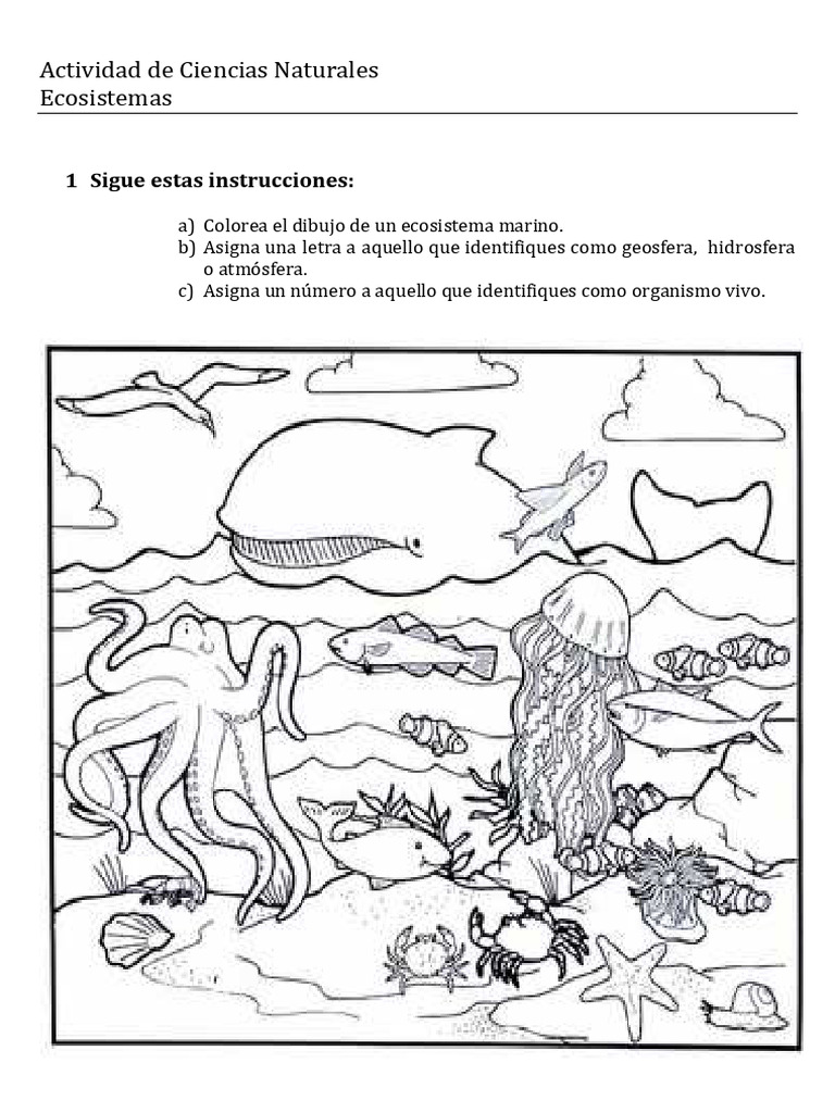 Actividad Ecosistemas. | PDF