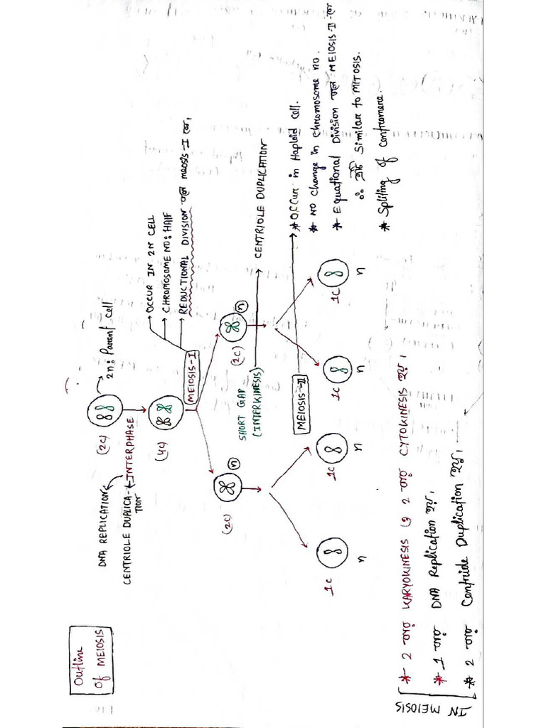 Important Neet Notes | PDF