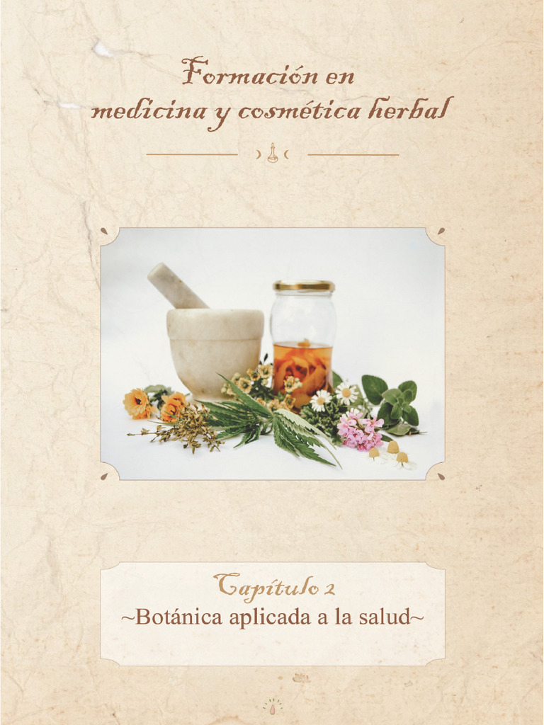 Botanica Aplicada A La Salud | PDF | Botánica | Flores