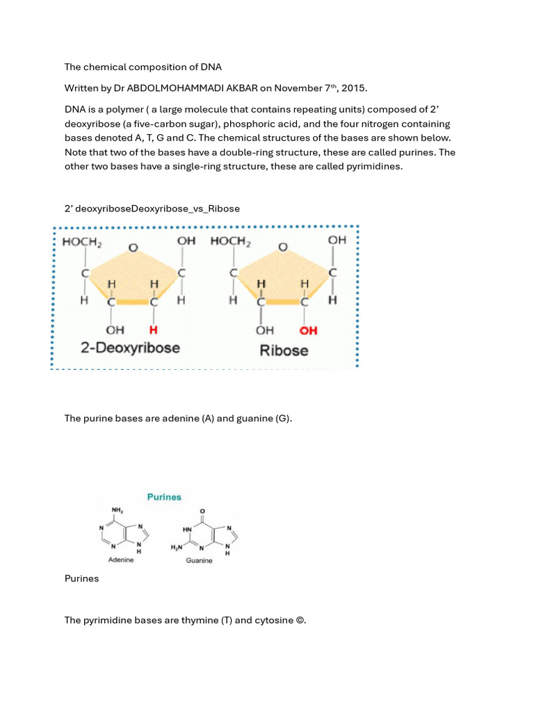 Chemical Composition of DNA Explained | PDF | Nucleotides | Dna