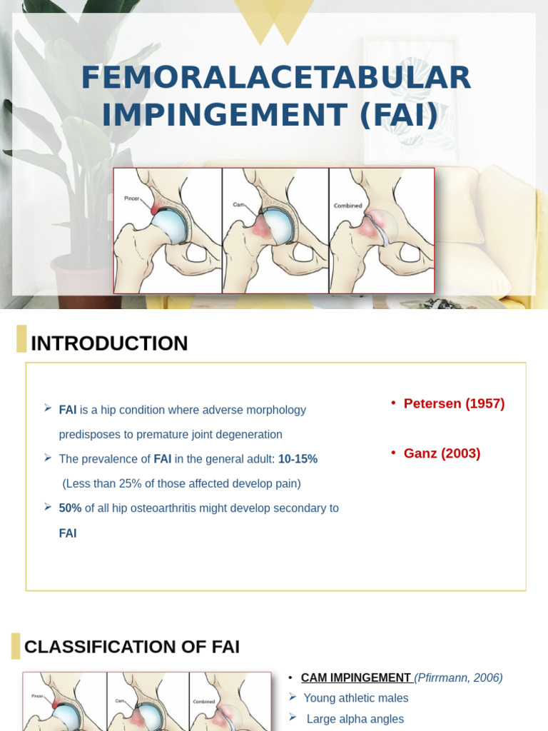 Fai Sydrome - Nbs | PDF | Hip | Medical Specialties