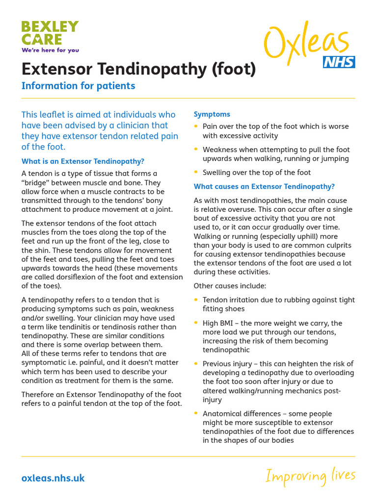 MSK Extensor Tendinopathy | PDF | Foot | Musculoskeletal System