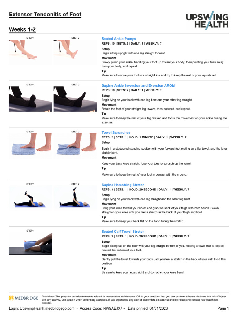 Extensor Tendonitis of Foot | PDF | Anatomical Terms Of Motion | Foot