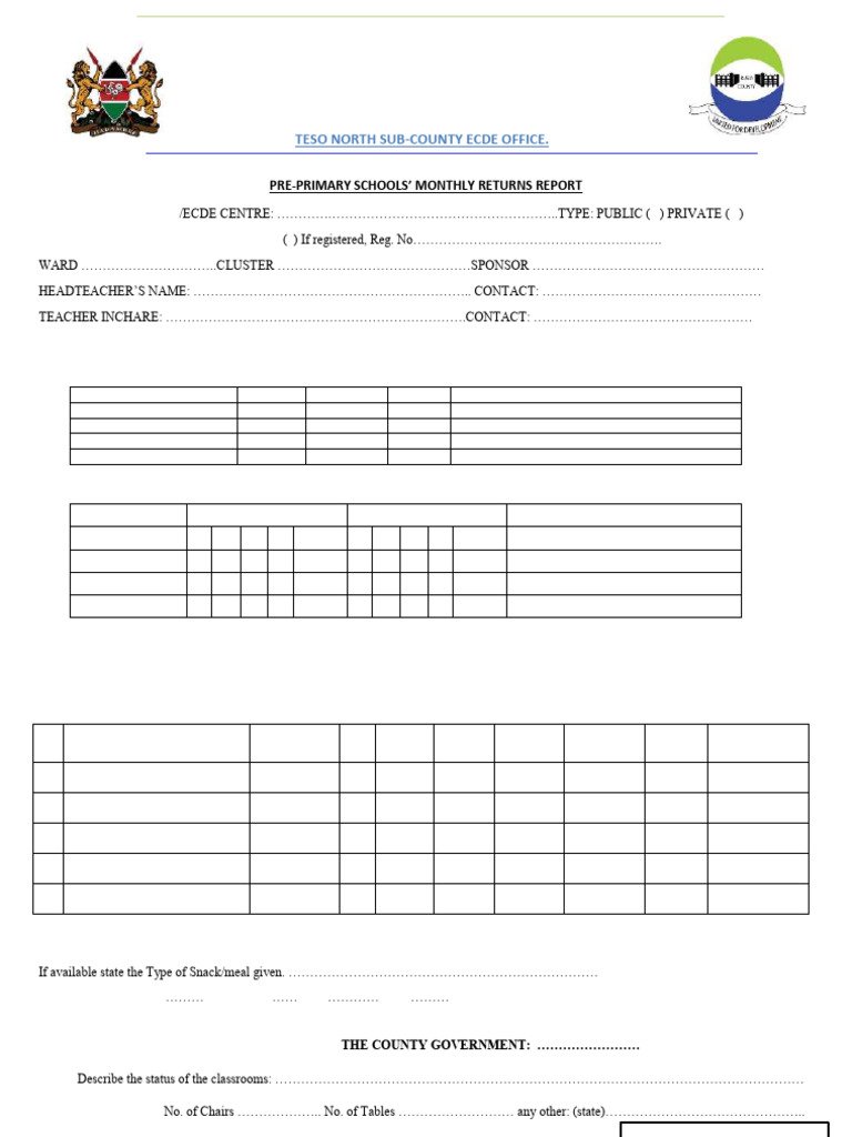 Pre-Primary Schools Monthly Report | PDF