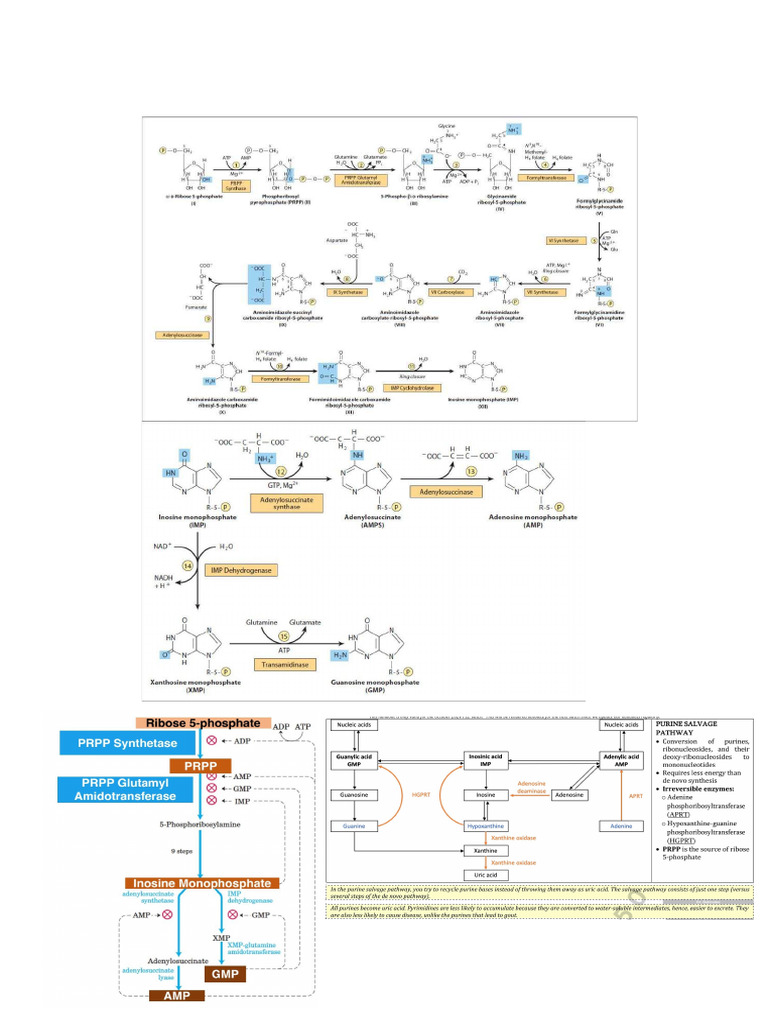 Biochem | PDF