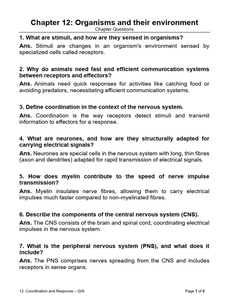 12 Coordination and Response Chapter Questions | PDF | Nervous System ...