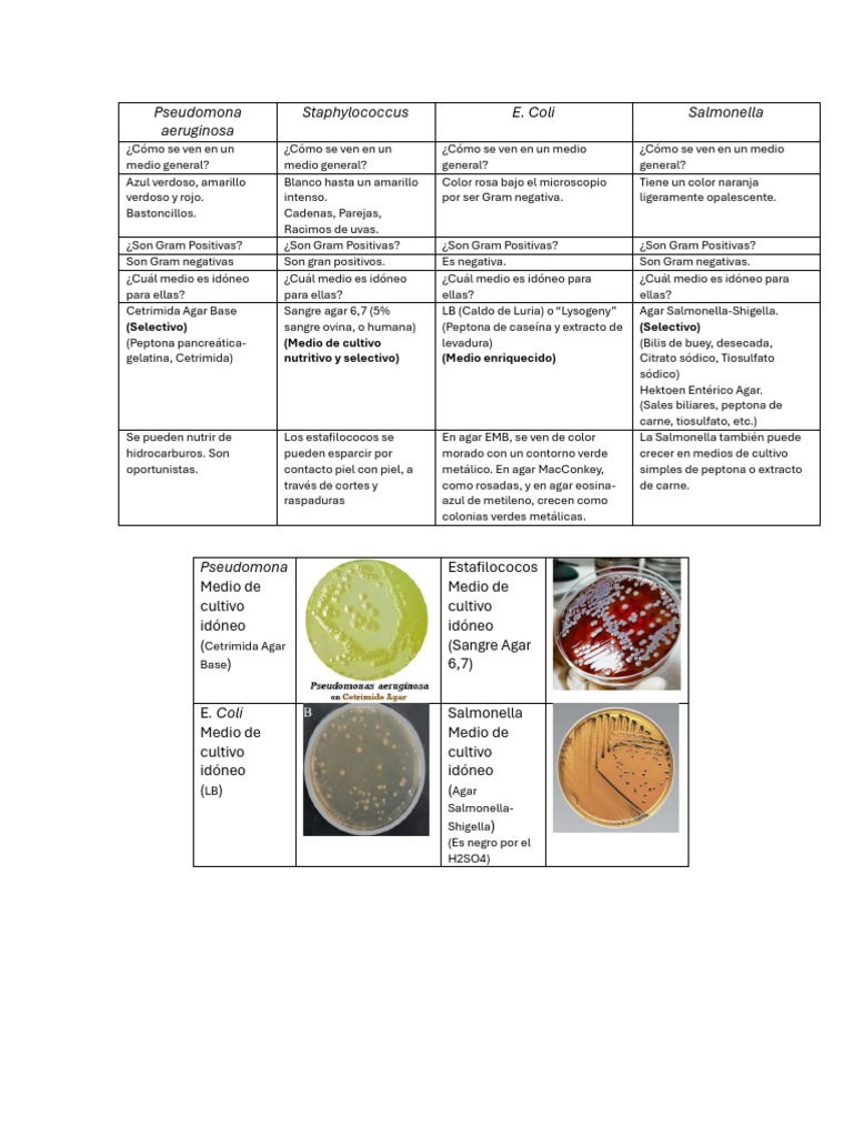 Lab. Micro Examen Microorganismos | PDF | Tinción | Biología Celular