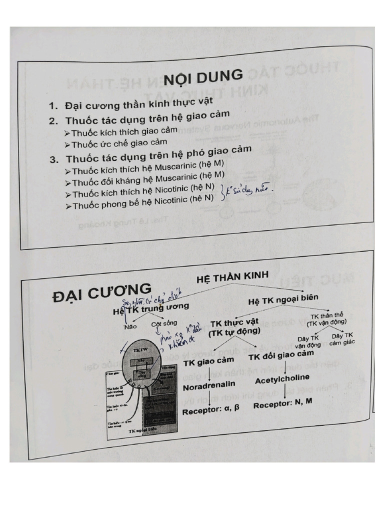 PDF Gallery - 20241218 - 125756 | PDF