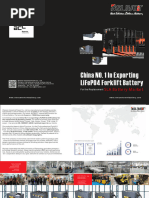 Basic Introduction - TDSG | PDF | Lithium Ion Battery | Electric Vehicle