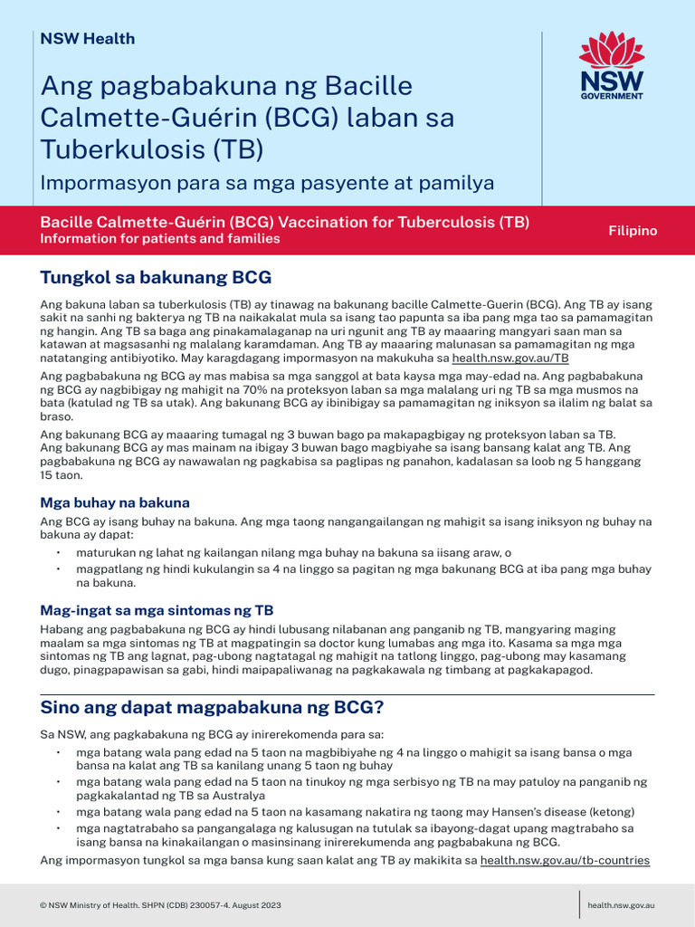 BCG Information TGL | PDF