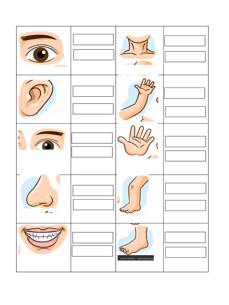 Part of Body | PDF