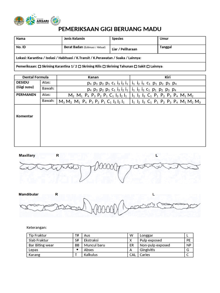 Form Pemeriksaan Gigi Beruang Madu | PDF