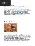 Oncomelania Hupensis Quadrasi Guide | PDF | Mollusca | Habitat