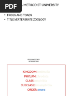 Classification of Frogs | PDF | Frog | Amphibian
