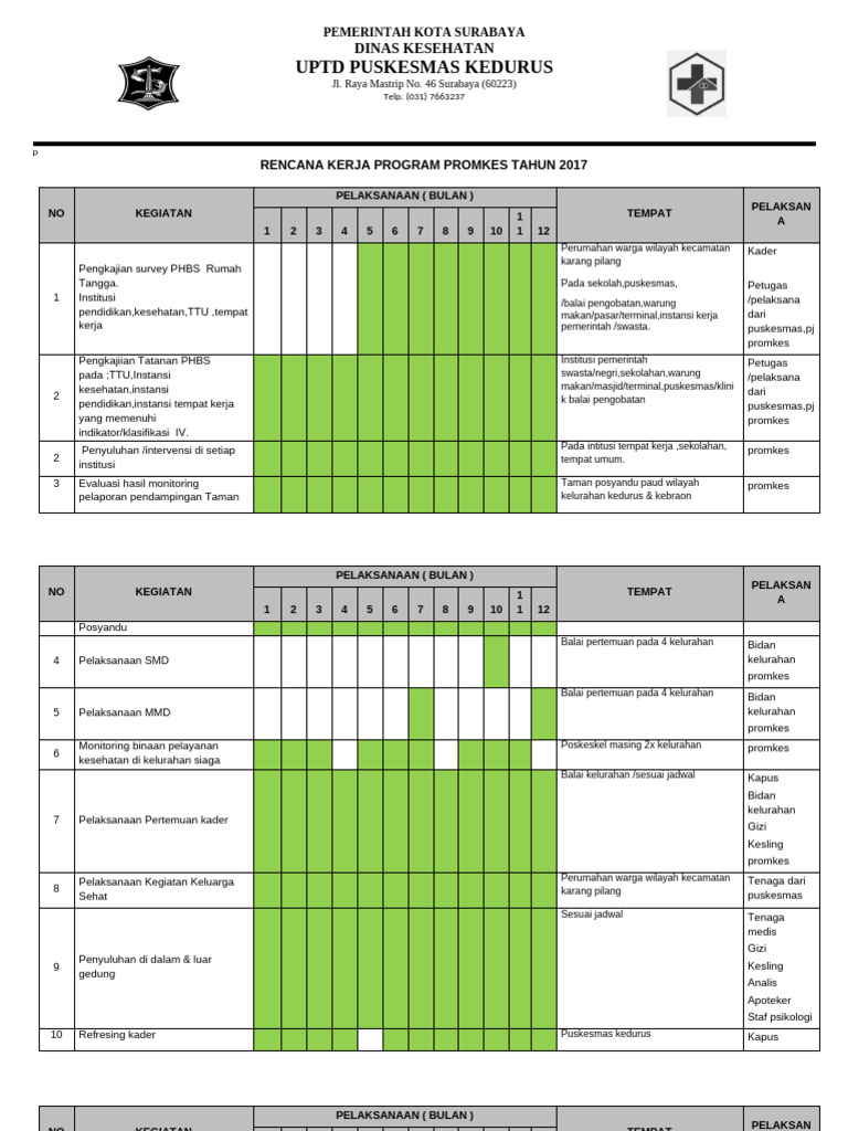 8.rencana Kerja Tahunan Promkes | PDF