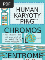 Human Karyotyping Activity | PDF | Karyotype | Chromosome