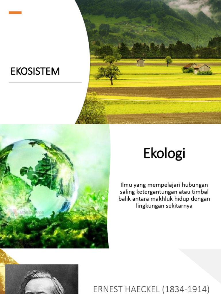 Simbiosis Protokooperasi dalam Ekosistem | PDF