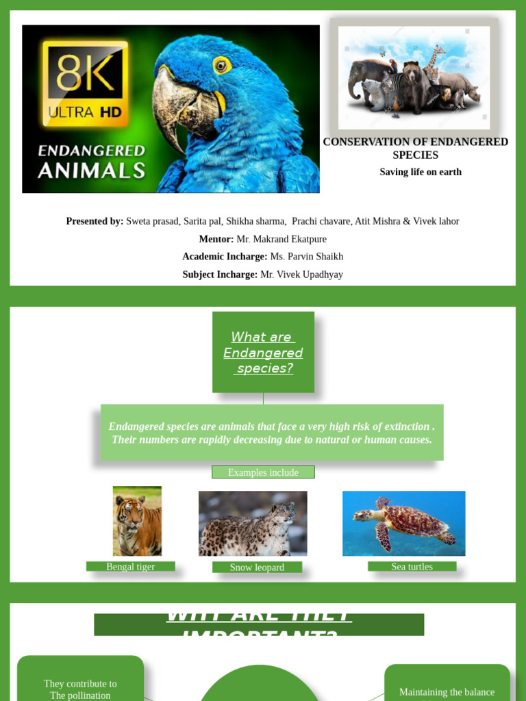 Endangered Species Conservation Guide | PDF | Endangered Species ...
