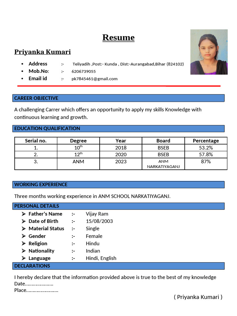 Resume FORMAT 2 | PDF