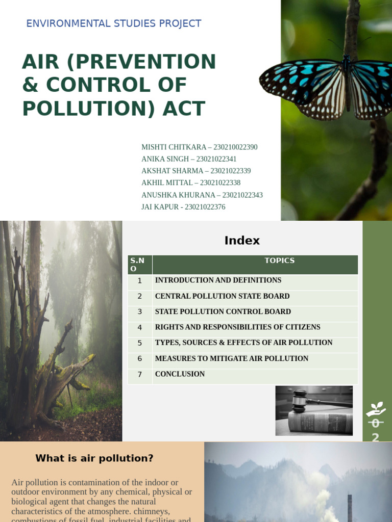 Air Pollution Control in India: Overview | PDF | Air Pollution | Smog