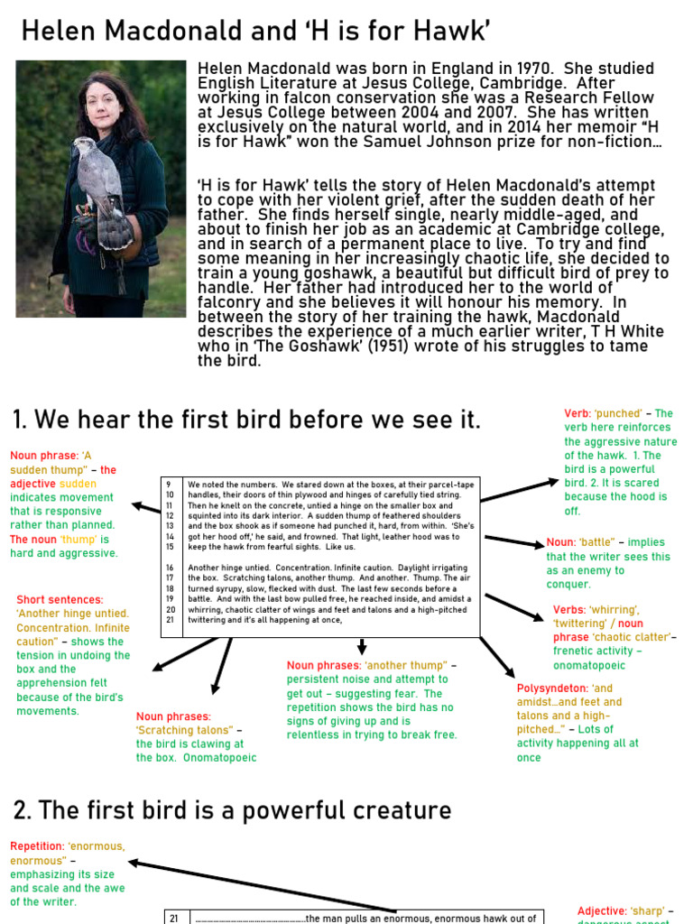 H Is For Hawk Notes Annotated | PDF