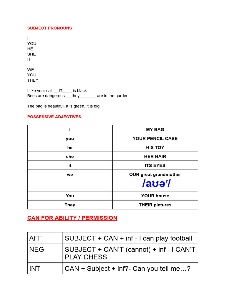 Subject Pronouns and Possessives Guide | PDF
