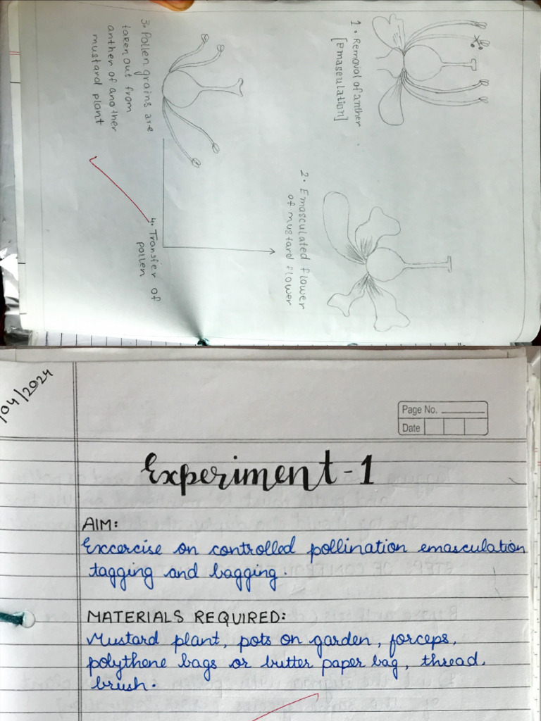 Controlled Pollination | PDF