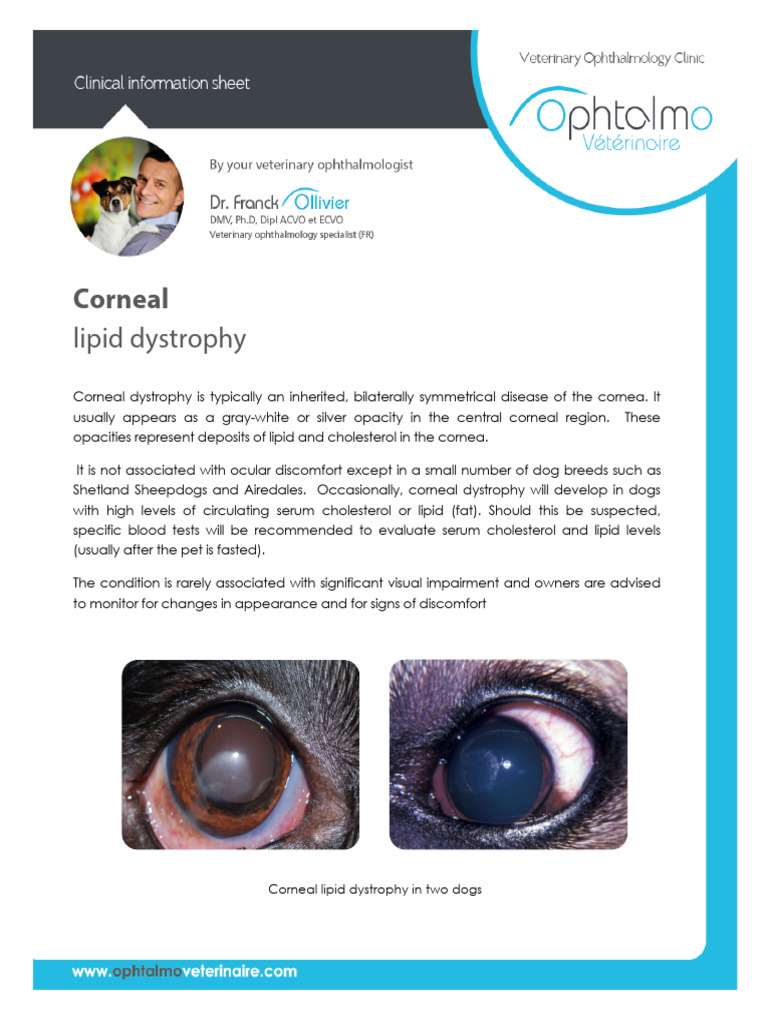 Corneal Lipid Dystrophy | PDF