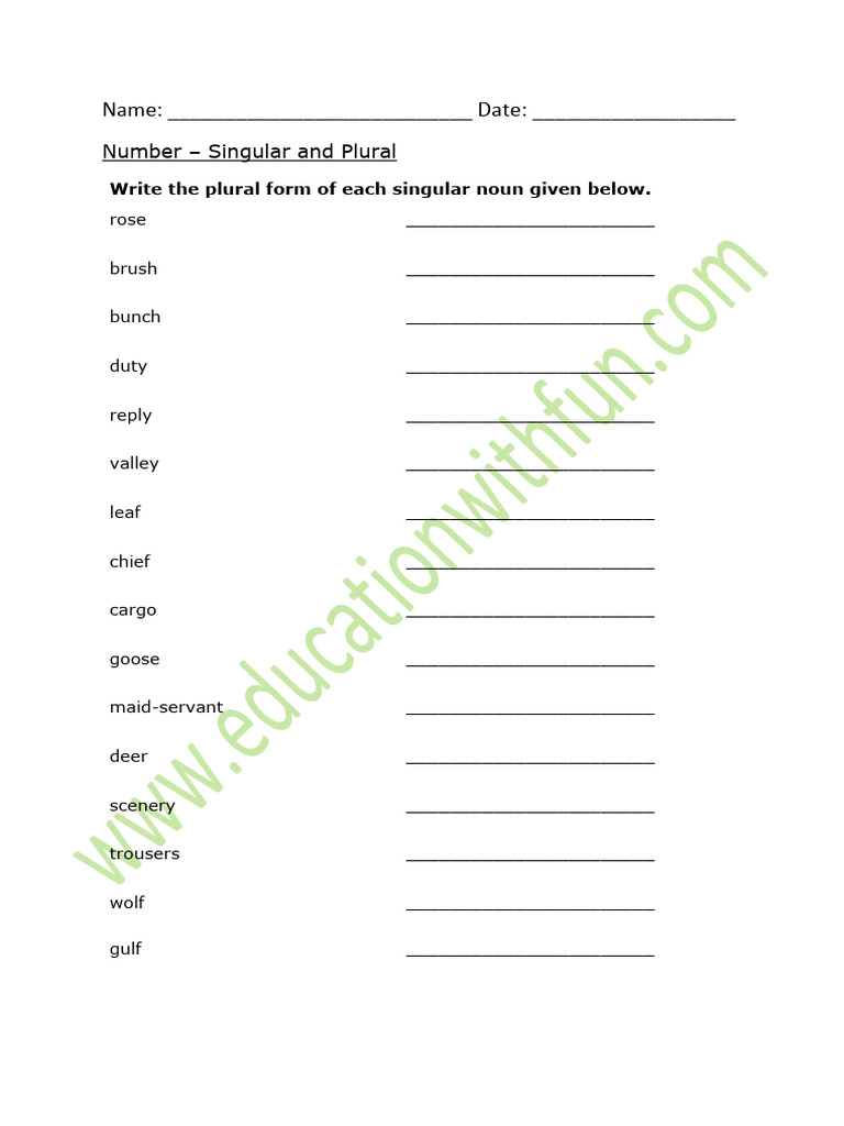 Numbers (Singular and Plural) Worksheet 3 | PDF