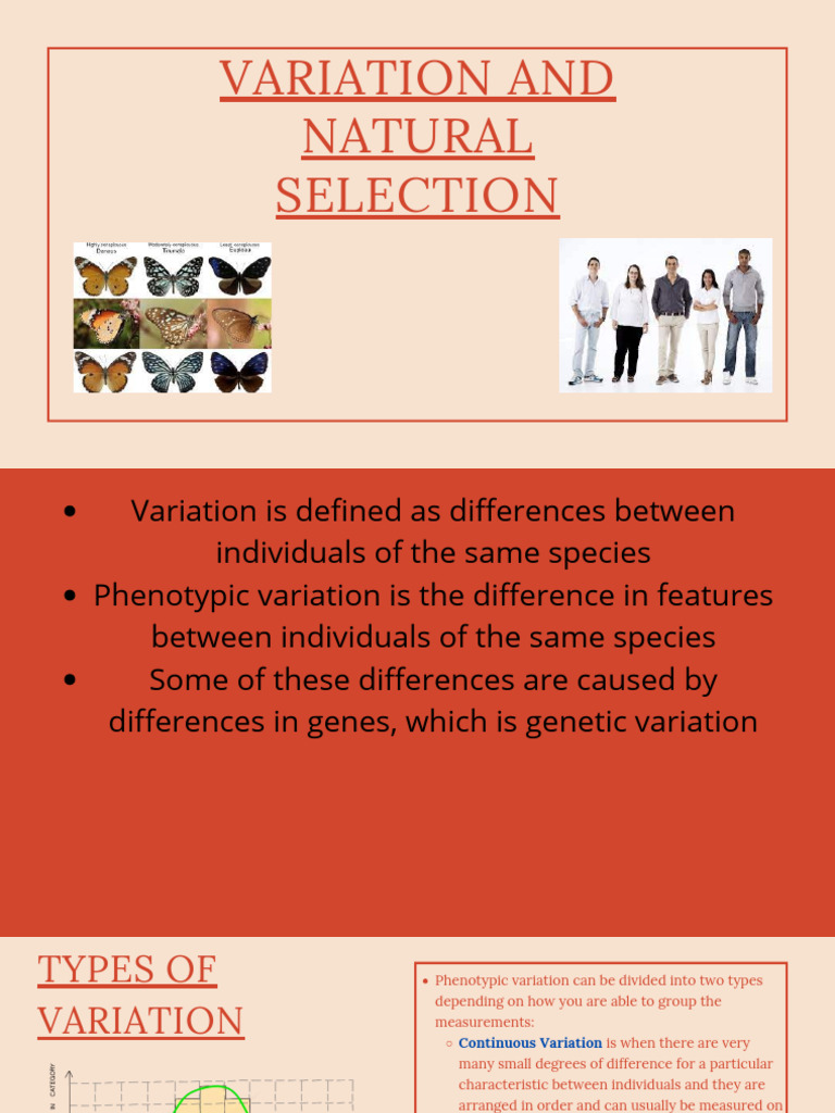 Variation and Natural Selection | PDF | Natural Selection ...