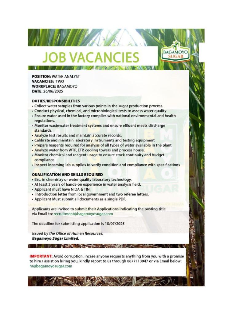 BSL Jobs June 2025 | PDF