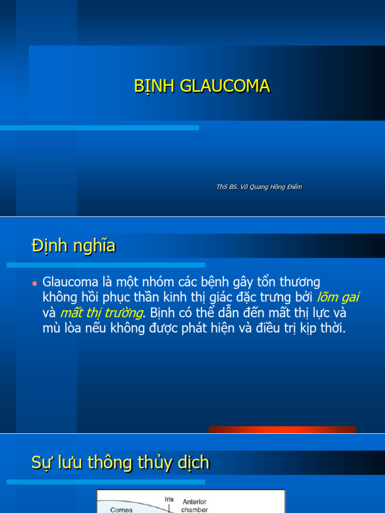 3 (4) Bệnh Glôcôm | PDF