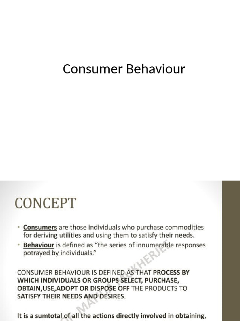 Consumer Behaviour | PDF