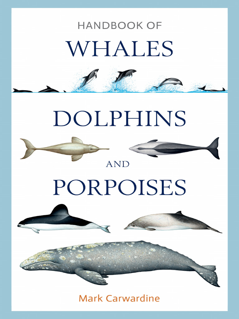 Cetacean Identification Handbook | PDF | Whales | Cetacea