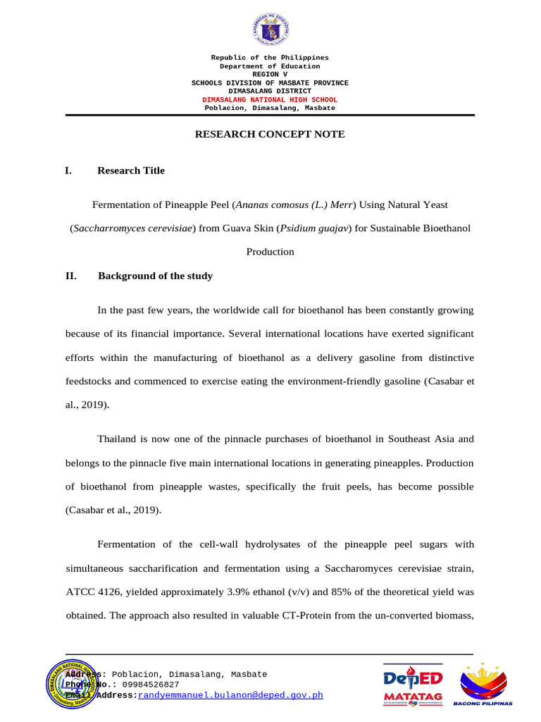 Concept Note Fermentation of Pineapple Peel Using Natural Yeast From ...